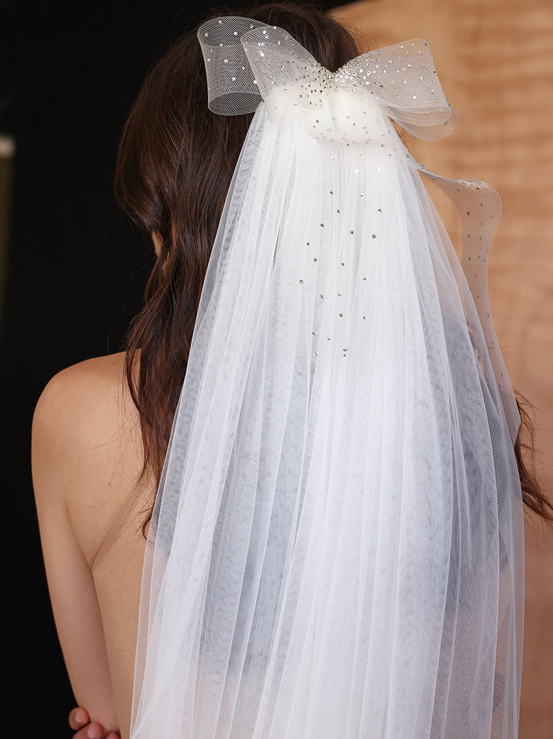 Ari Veil | Cathedral Length Crystal Embellished Veil