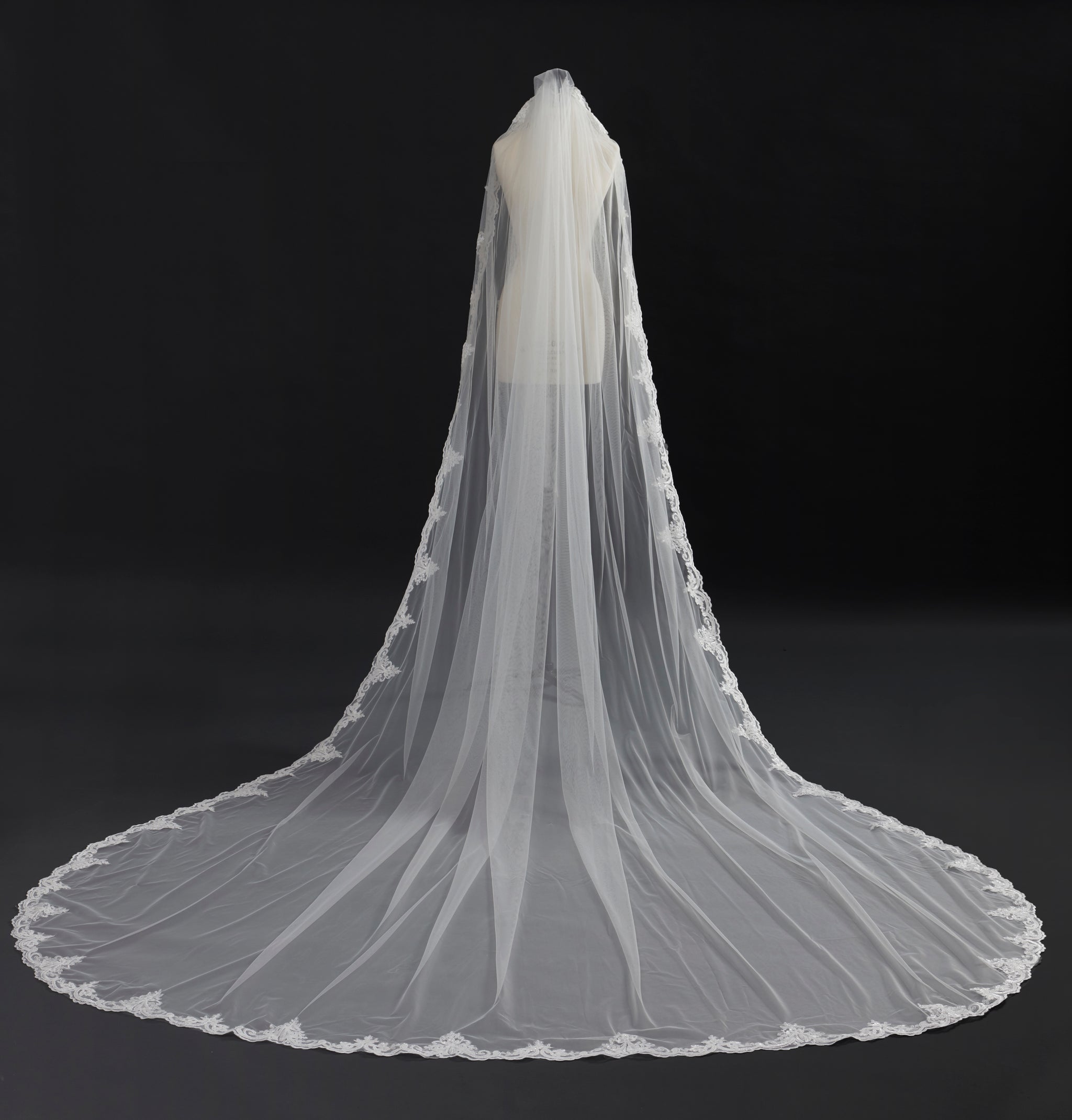 G-305 | Lace Trim Veil